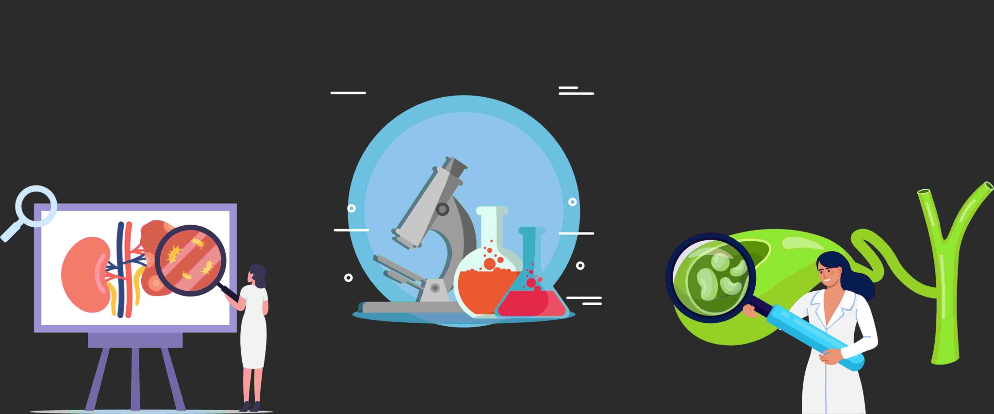 Lab Tests: Definitions, Uses, and Clinical Fields - Patringa
